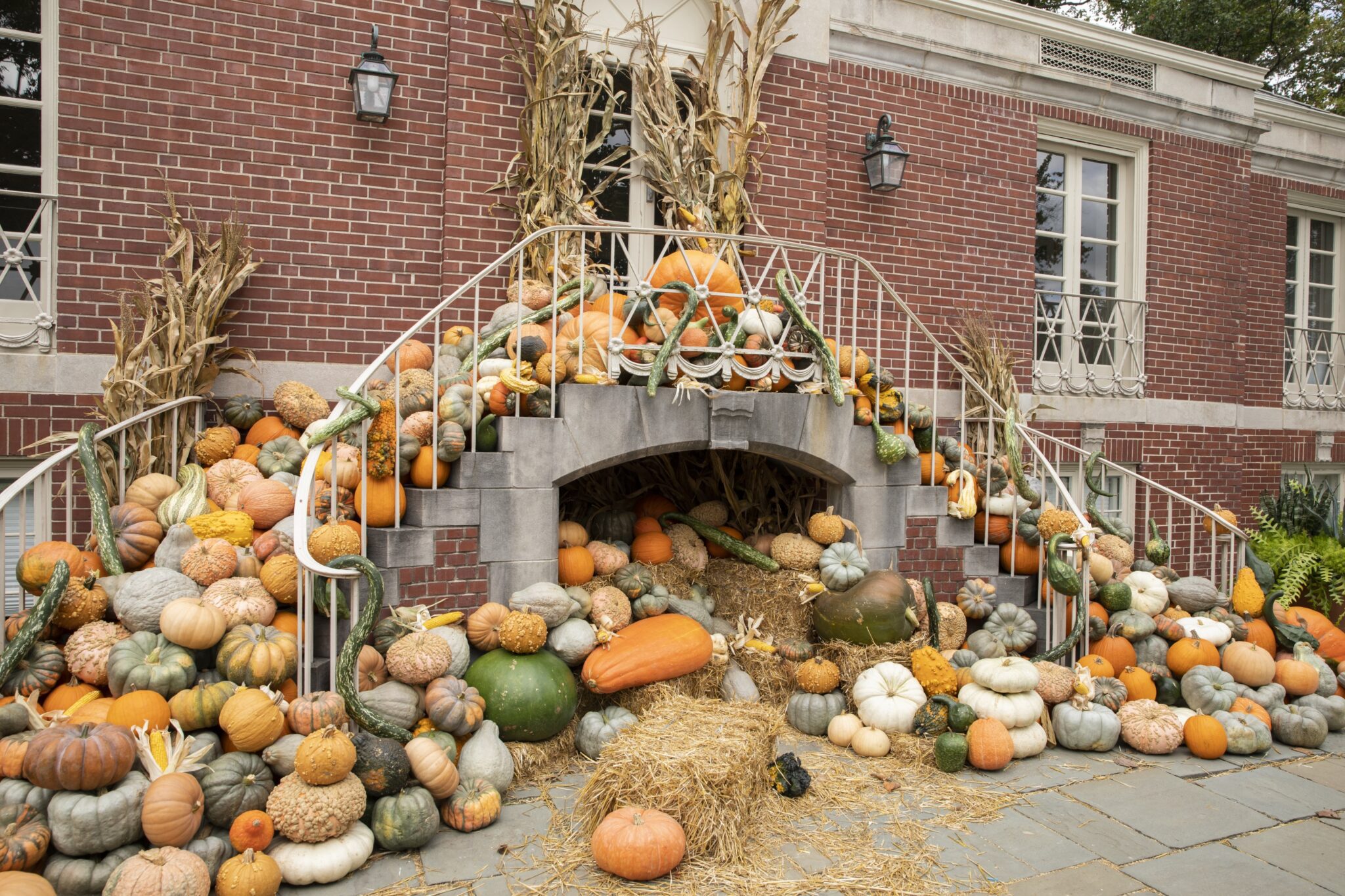 Newfields reopens Harvest Nights, brings back Art or Treat and ‘Rocky ...