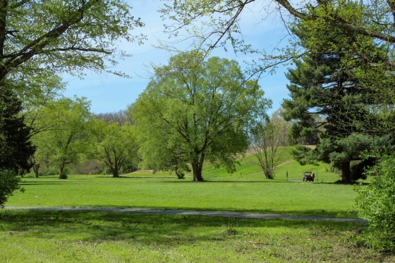 Adventure awaits: Riverside Adventure Park opens with trails ...